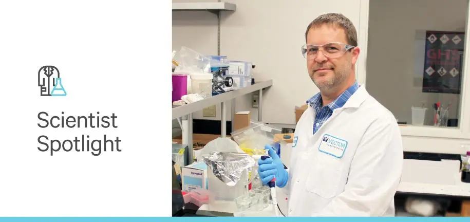 Connecting The Dots: A Day In The Life Of A Senior Scientist At Vector ...