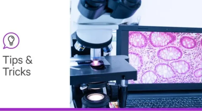 Getting To The Specifics: Blocking For Immunohistochemistry | Vector Labs