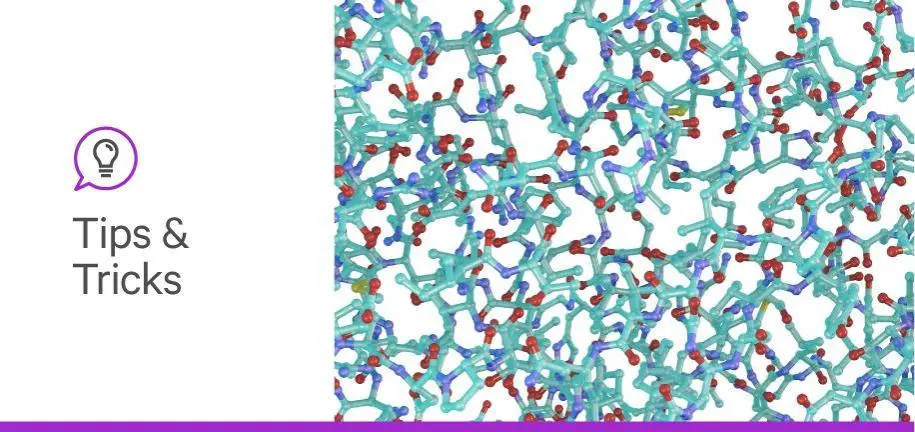 The Importance Of Lectin And Glycan Binding Specificity | Vector Labs