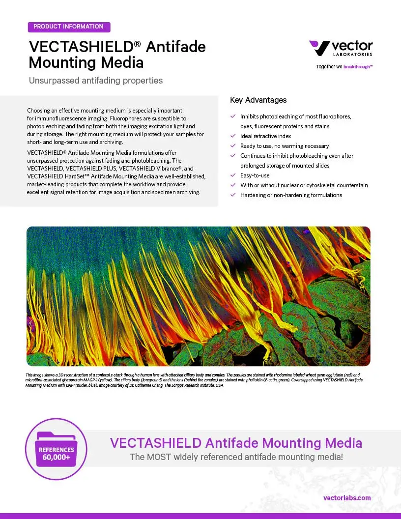 VECTASHIELD® Antifade Mounting Media | Vector Labs