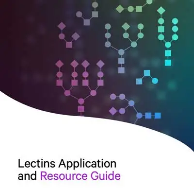 Lectins | Vector Labs