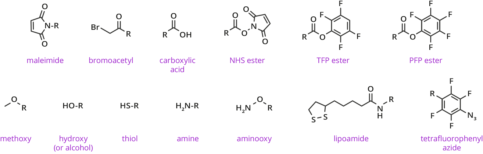What Is DPEG®? | Vector Labs