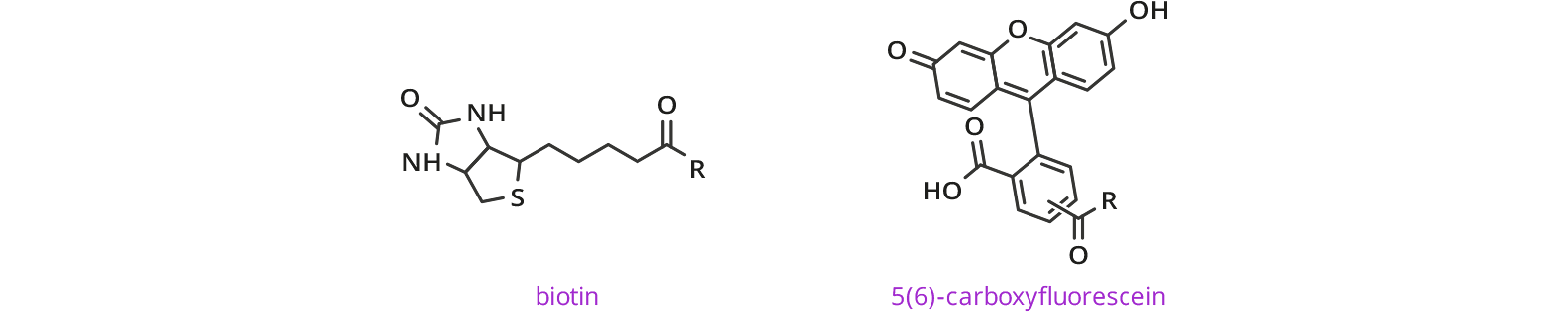 What Is DPEG®? | Vector Labs