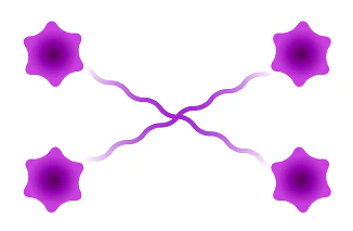 What Is DPEG®? | Vector Labs