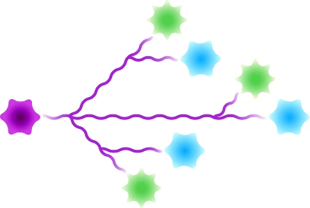 What Is DPEG®? | Vector Labs