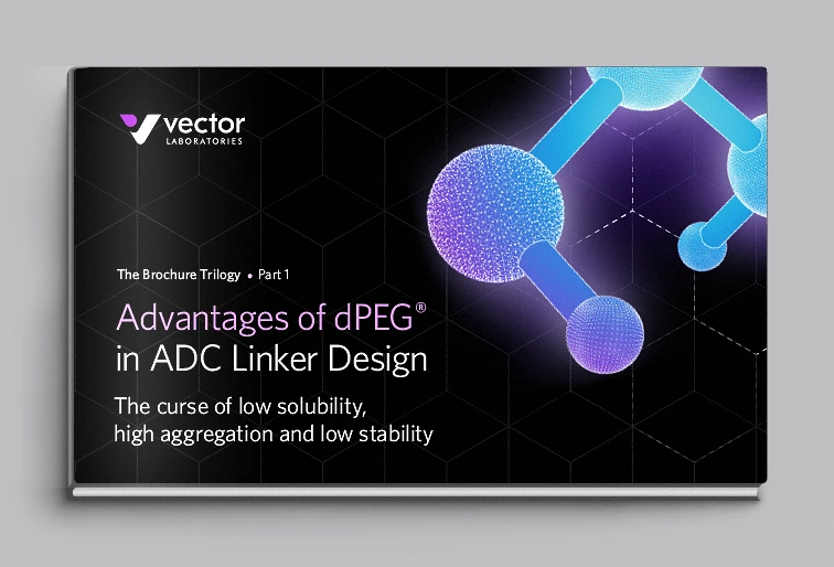 Antibody Drug Conjugates | Vector Labs