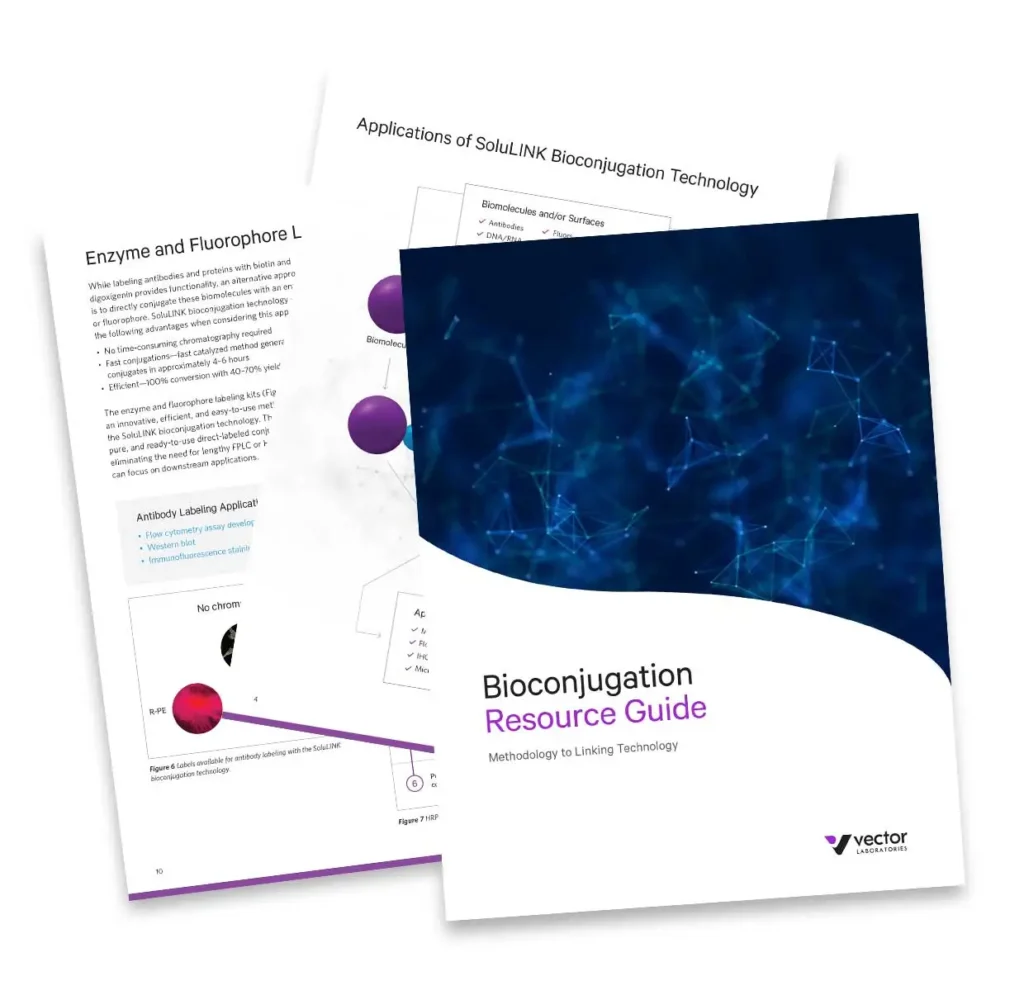 Bioconjugation | Vector Labs