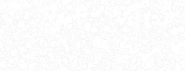 ChromaLINK® Biotin Protein Labeling Kit | Vector Labs