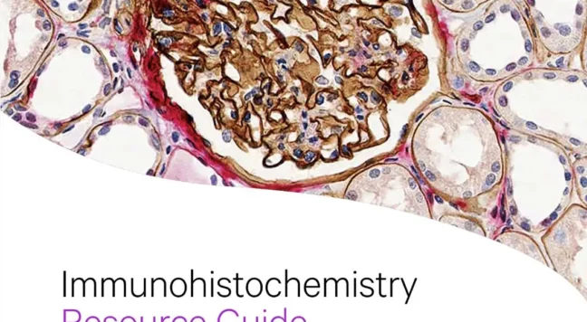 Immunohistochemistry Resource Guide | Vector Labs