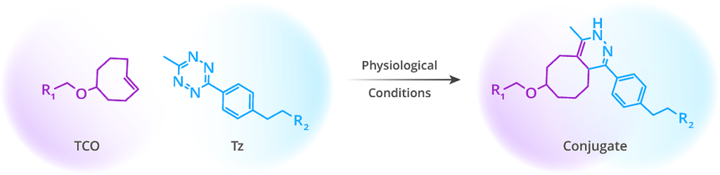 TCO-Tetrazine Conjugation: Unmatched Speed, Precision, And ...