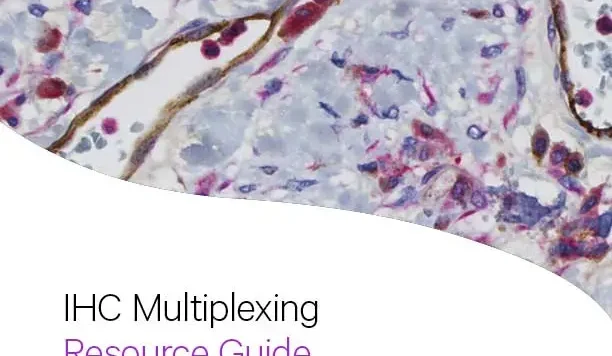IHC Multiplexing Guide | Vector Labs