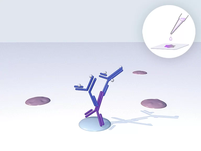 ABC Kits | Vector Labs