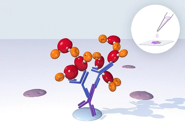 ABC Kits | Vector Labs