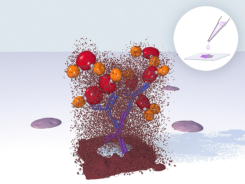 ABC Kits | Vector Labs
