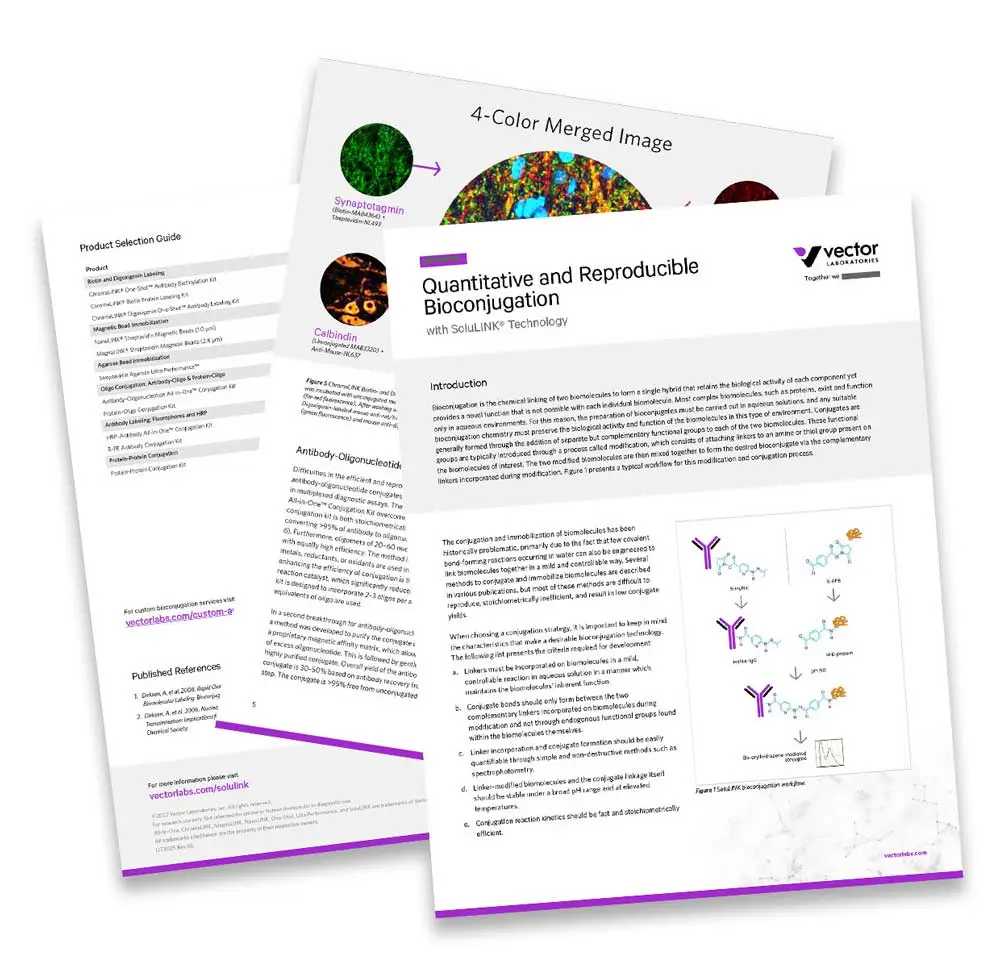 White Paper: Solulink Bioconjugation | Vector Labs