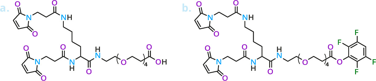 Maleimide Crosslinker Selection Guide | Vector Labs