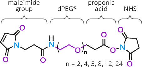 Maleimide Crosslinker Selection Guide | Vector Labs