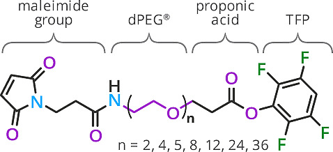 Maleimide Crosslinker Selection Guide | Vector Labs