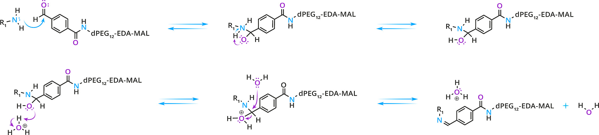 Maleimide Crosslinker Selection Guide | Vector Labs