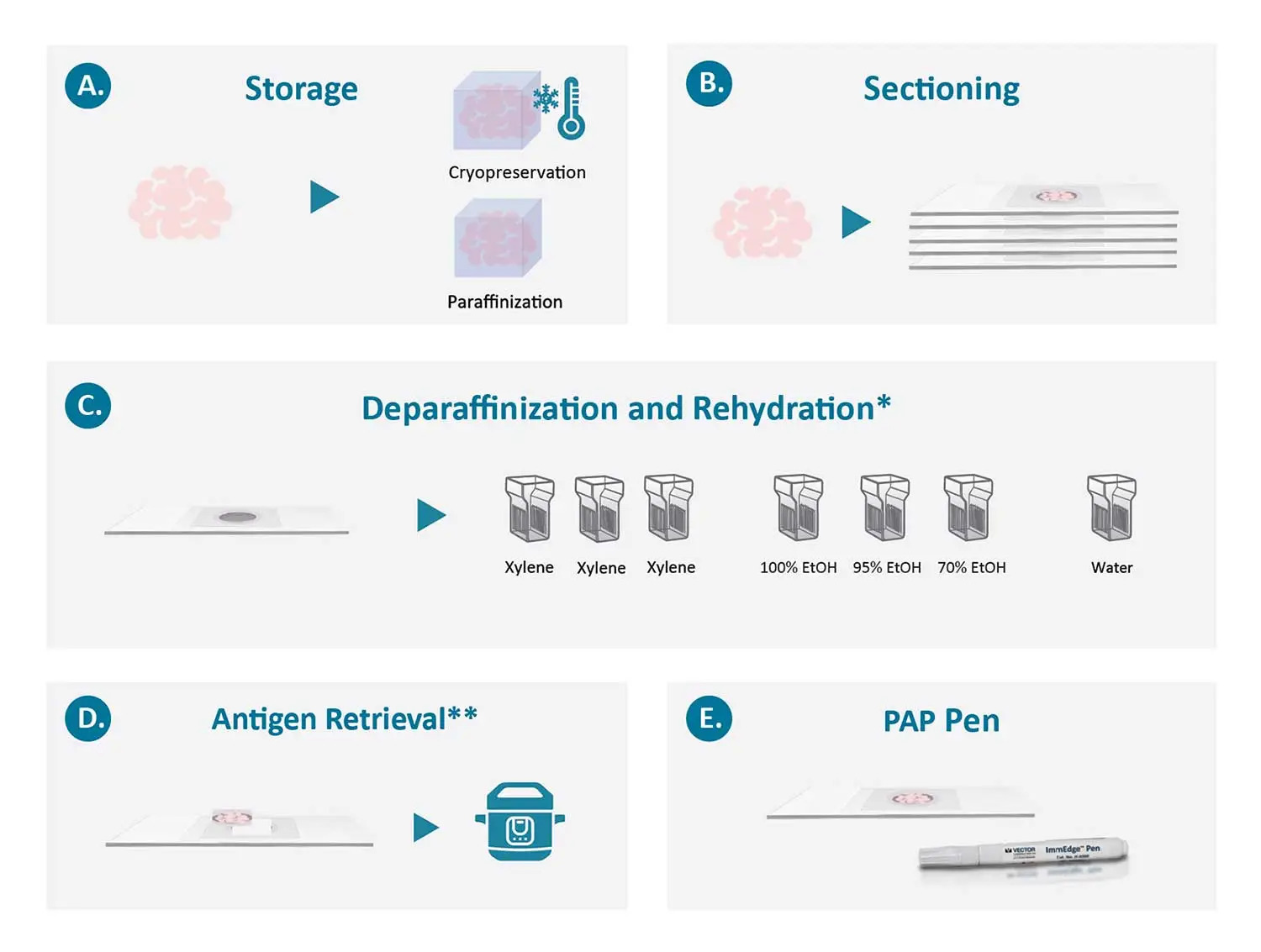 Start Right To Finish Well—The Importance Of The Sample Preparation ...