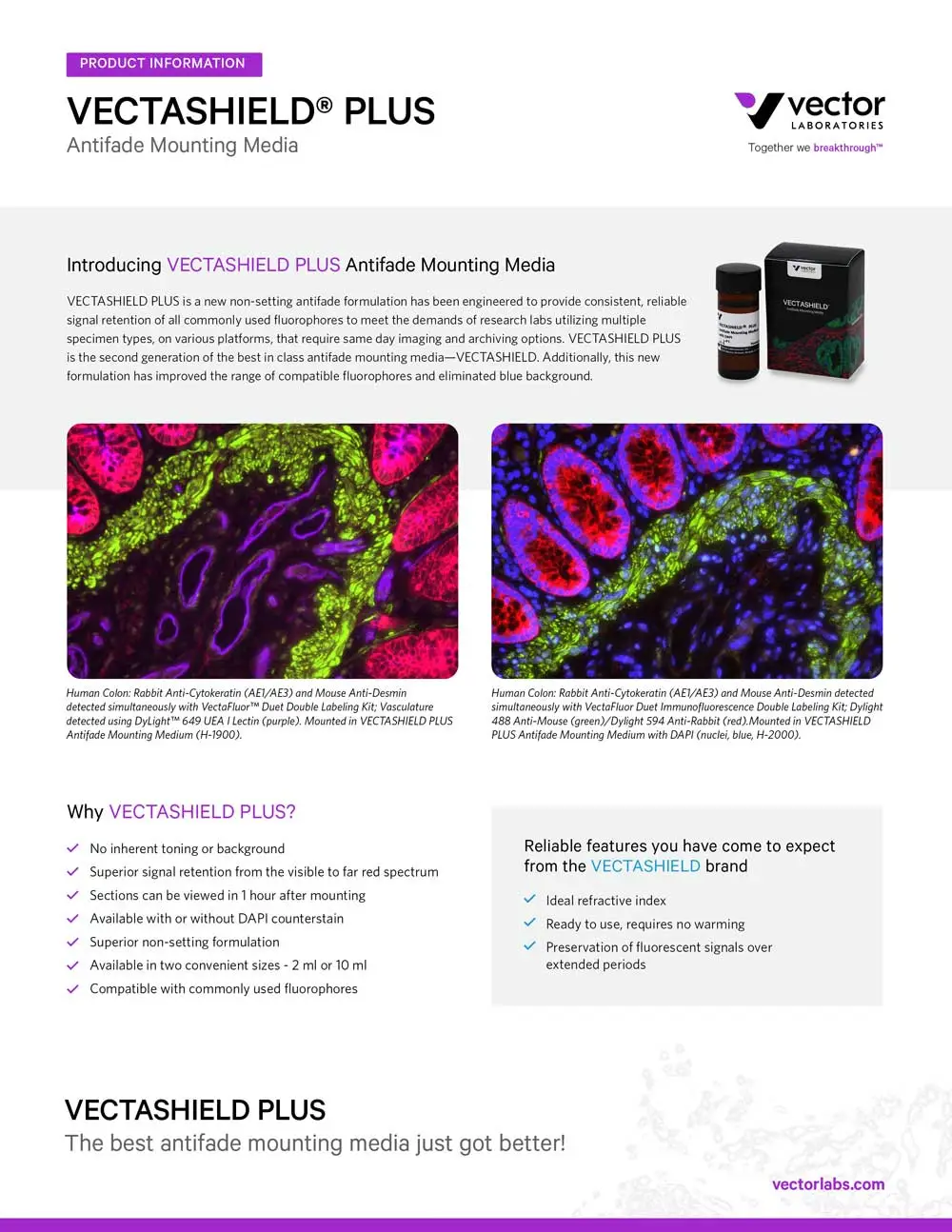 VECTASHIELD® Antifade Mounting Media | Vector Labs