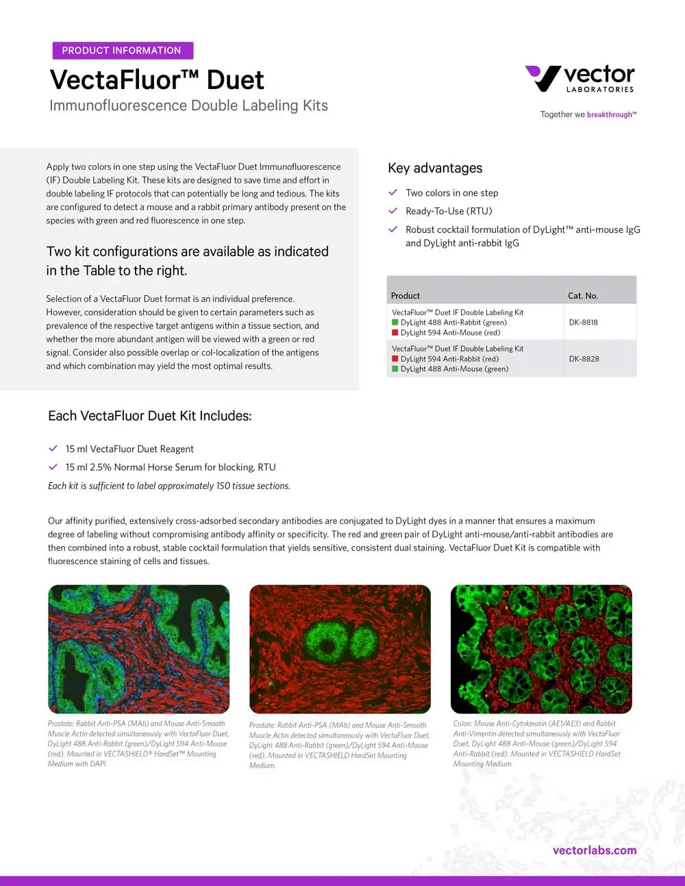 Brochures | Vector Labs