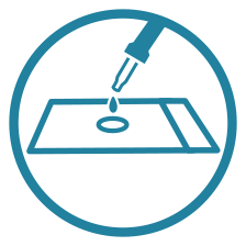 Vectamount Express | Vector Labs