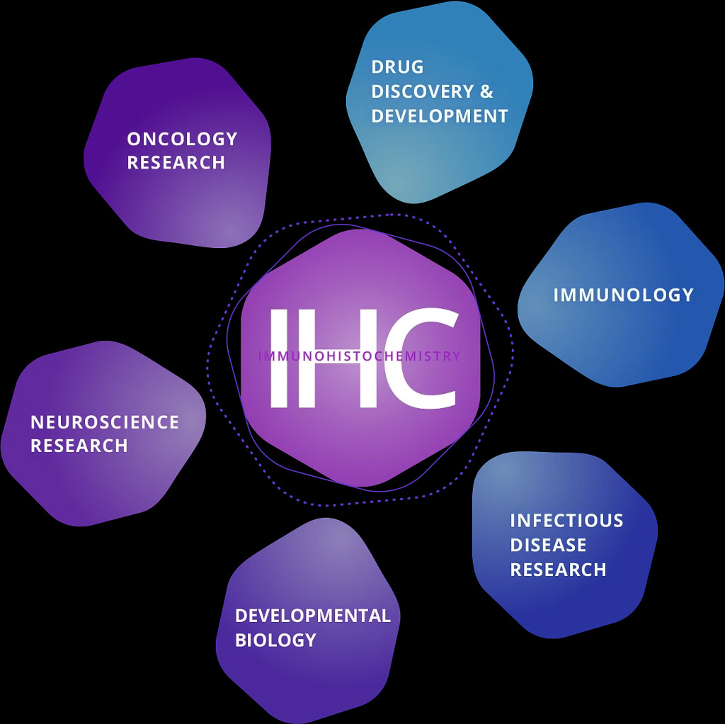 Immunohistochemistry | Vector Labs