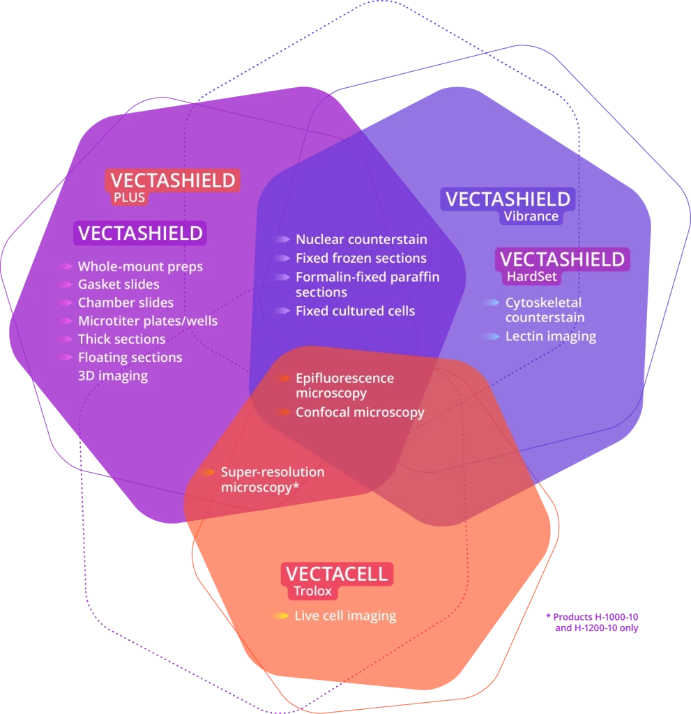 Mounting Media | Vector Labs