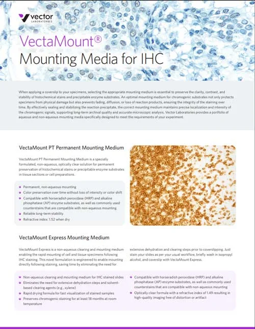 Brochures | Vector Labs