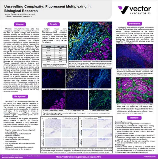 POSTER | Unravelling Complexity: Fluorescent Multiplexing In Biological Research | Vector Labs